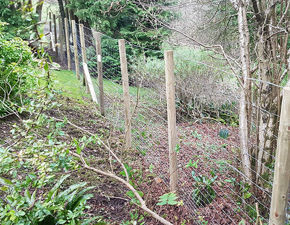 Garden Gates & Gate Accessories | Bristol & Bath | Bendrey Bros